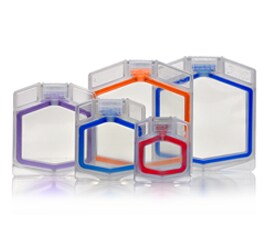Microdialysis Plates | Thermo Fisher Scientific - CN