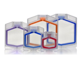 Slide-A-Lyzer Dialysis Cassettes and Flasks | Thermo Fisher Scientific - CN