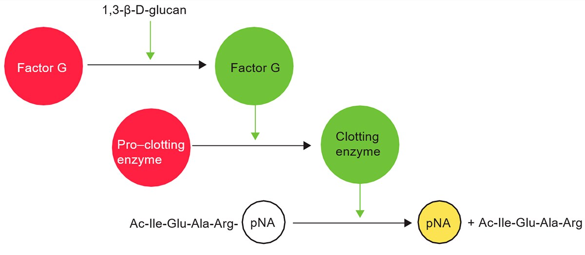 Overview of Endotoxin Testing Methods | Thermo Fisher Scientific - CN