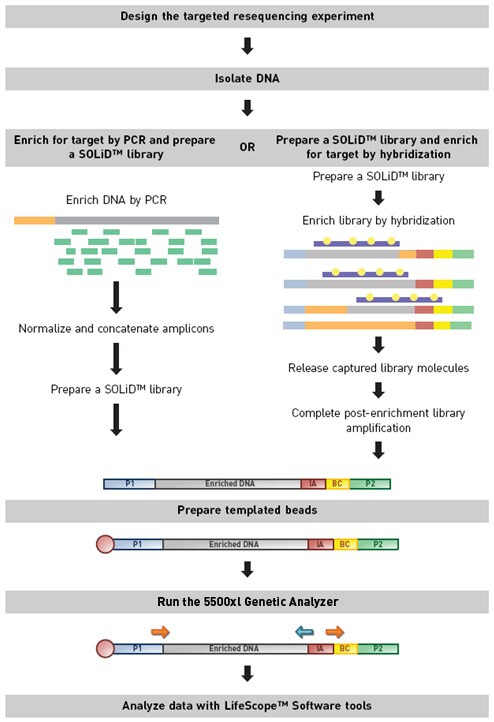 Exome Sequencing by SOLiD® Next-Generation Sequencing | Thermo Fisher ...