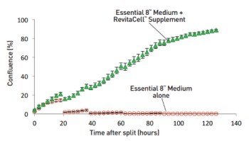 Single-Cell Passaging with Essential 8 Medium | Thermo Fisher ...