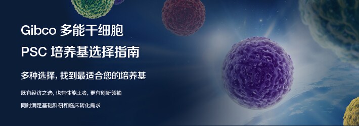 多能干细胞（PSC）培养基 | Thermo Fisher Scientific - CN