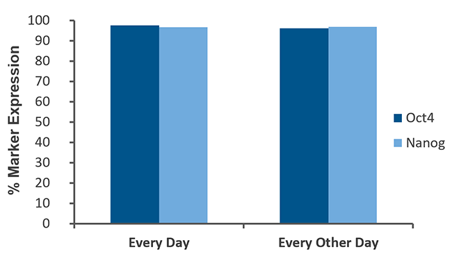 StemScale PSC悬浮培养基 | 赛默飞 | Thermo Fisher Scientific - CN