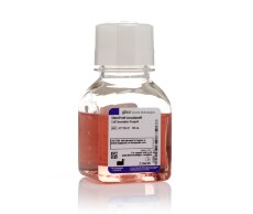 StemPro Accutase | Thermo Fisher Scientific - CN