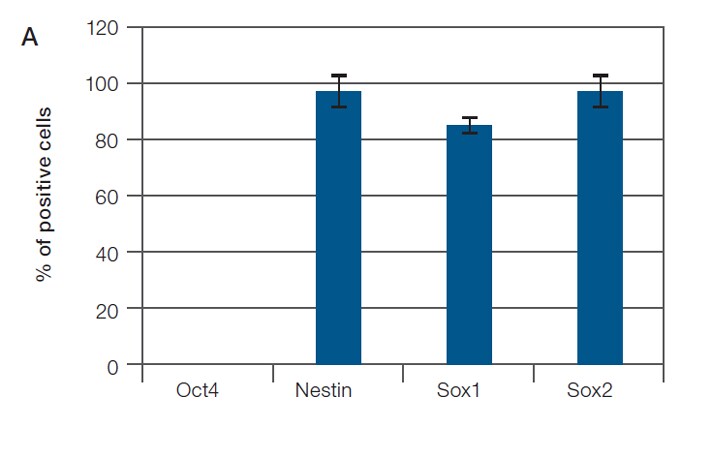 PSC 资源手册 - 分化 | Thermo Fisher Scientific - CN