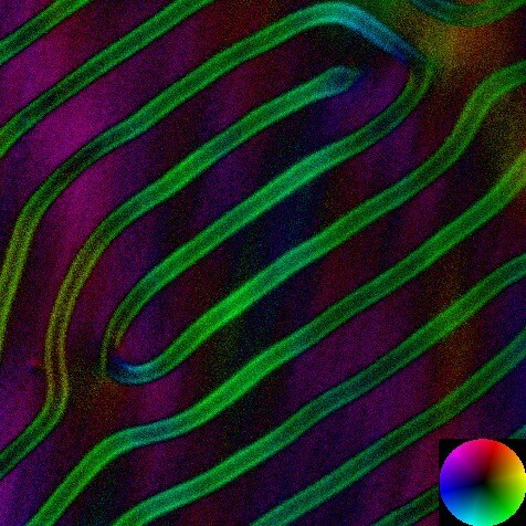 DPC 成像 | 差相对比成像 | 赛默飞 | Thermo Fisher Scientific - CN