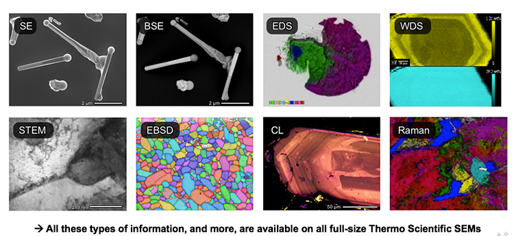 Scanning Electron Microscope | SEM Failure Analysis | Thermo Fisher ...