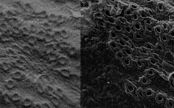 Materials Science | Materials Science Learning Center | Thermo Fisher ...