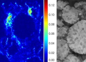 TOF SIMS | Thermo Fisher Scientific - CN