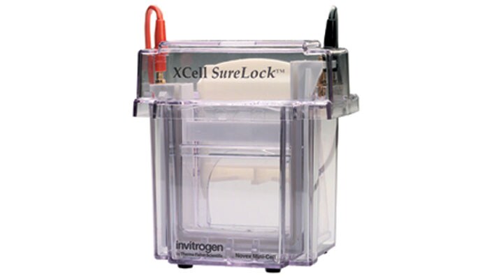 XCell SureLock Mini-Cell promotion | Thermo Fisher Scientific - CN
