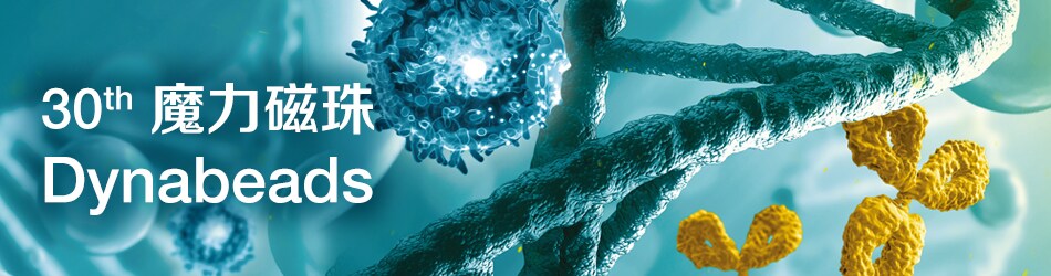 Dynabeads磁力风暴——30年匠心品质，精益求精 | Thermo Fisher Scientific - CN