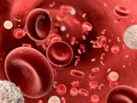 Tips for Working with Blood Samples | Thermo Fisher Scientific - CN