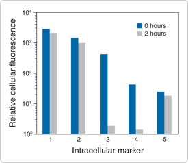 Viability and Cytotoxicity Assay Reagents—Section 15.2 | Thermo Fisher ...