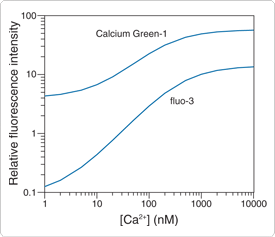 Fluorescent Ca2+ Indicators Excited with Visible Light—Section 19.3 ...