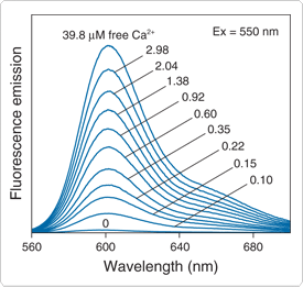 Fluorescent Ca2+ Indicators Excited with Visible Light—Section 19.3 ...