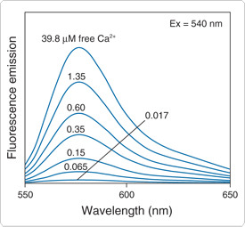 Fluorescent Ca2+ Indicators Excited with Visible Light—Section 19.3 ...
