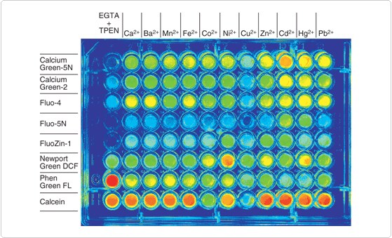 Fluorescent Indicators for Zn2+ and Other Metal Ions—Section 19.7 ...