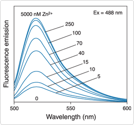 Fluorescent Indicators for Zn2+ and Other Metal Ions—Section 19.7 ...