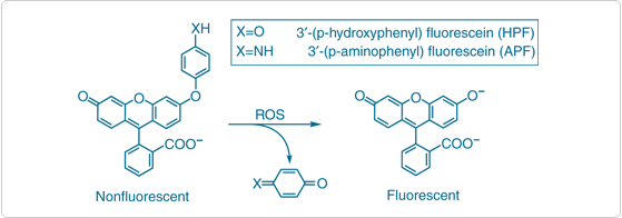 Detecting Chloride, Phosphate, Nitrite and Other Anions—Section 21.2 ...