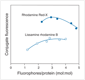 Fluorescence Fundamentals | Thermo Fisher Scientific - CN
