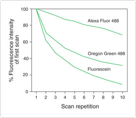 Fluorescence Fundamentals | Thermo Fisher Scientific - CN