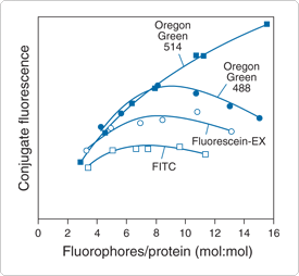 Fluorescence Fundamentals | Thermo Fisher Scientific - CN
