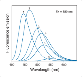 Fluorescence Fundamentals | Thermo Fisher Scientific - CN