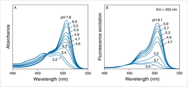 Probes Useful at Acidic pH—Section 20.3 | Thermo Fisher Scientific - CN