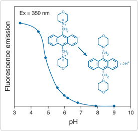 Probes Useful at Acidic pH—Section 20.3 | Thermo Fisher Scientific - CN
