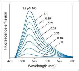 Probes for Nitric Oxide Research—Section 18.3 | Thermo Fisher ...