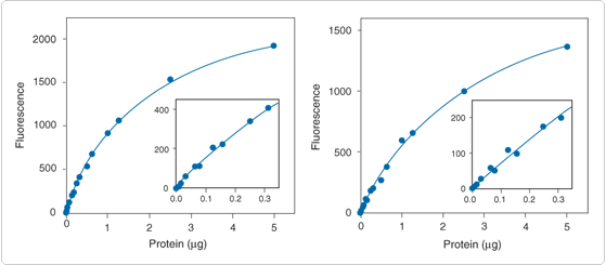 Protein Quantitation in Solution—Section 9.2 | Thermo Fisher Scientific ...