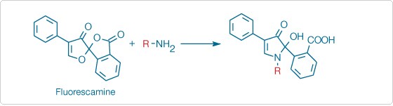 Protein Quantitation in Solution—Section 9.2 | Thermo Fisher Scientific ...