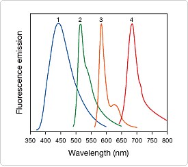 Fluorescence Microscopy Accessories and Reference Standards—Section 23. ...