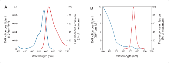 Qdot Nanocrystals—Section 6.6 | Thermo Fisher Scientific - CN