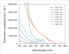 Qdot Nanocrystals—Section 6.6 | Thermo Fisher Scientific - CN