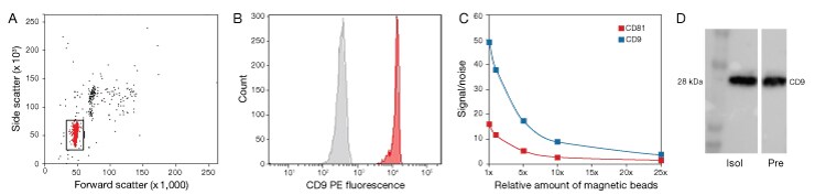 Isolation of Exosomes Using Magnetic Beads | Thermo Fisher Scientific - CN