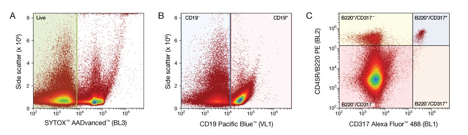Rare-Event Detection Using Flow Cytometry | Thermo Fisher Scientific - CN