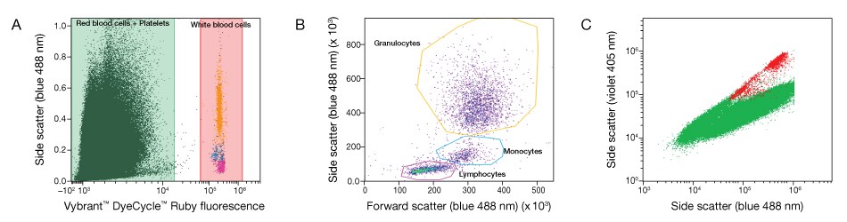No-Wash, No-Lyse Assays | Thermo Fisher Scientific - CN