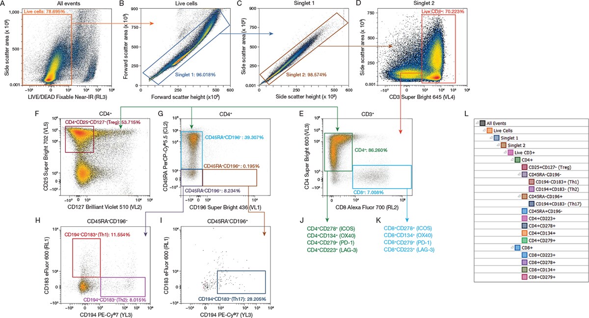 T Lymphocyte Immunophenotyping With Super Bright Antibody Conjugates ...
