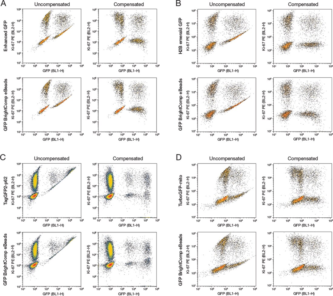 Flow Cytometry Compensation Tools for a Host of GFP Variants | Thermo ...