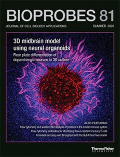 BioProbes 81 | Thermo Fisher Scientific - CN