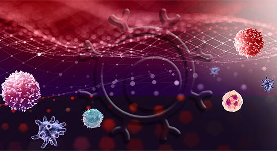 Cell Proliferation Protocols | Thermo Fisher Scientific - CN