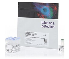 CellTrace Violet 细胞增殖试验方案 | Thermo Fisher Scientific - CN