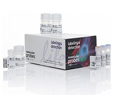 Click-iT® EdU Imaging Kits Protocol | Thermo Fisher Scientific - CN