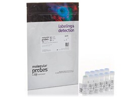 LIVE/DEAD Violet Viability/Vitality Kit Protocol | Thermo Fisher ...