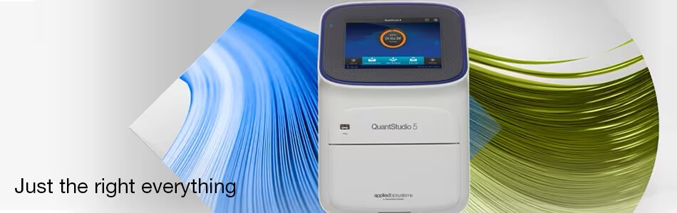 QuantStudio 3/5 Real-Time PCR Software | Thermo Fisher Scientific - CN