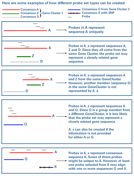 Transcriptome Profiling Support - Getting Started | Thermo Fisher ...
