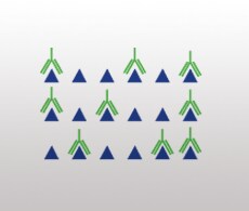 蛋白质微阵列支持 | Thermo Fisher Scientific - CN