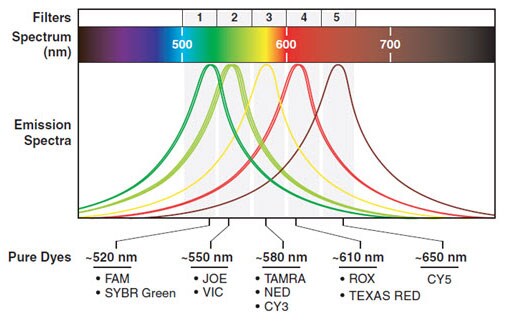 7500 and 7500 Fast Real-Time PCR Systems Support—Getting Started ...