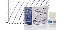 QuantStudio™ 3 and QuantStudio™ 5 Real Time PCR Systems Support ...
